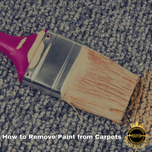 %%title%% %%page%% %%sep%% %%sitename%% How to Remove Paint from Carpets